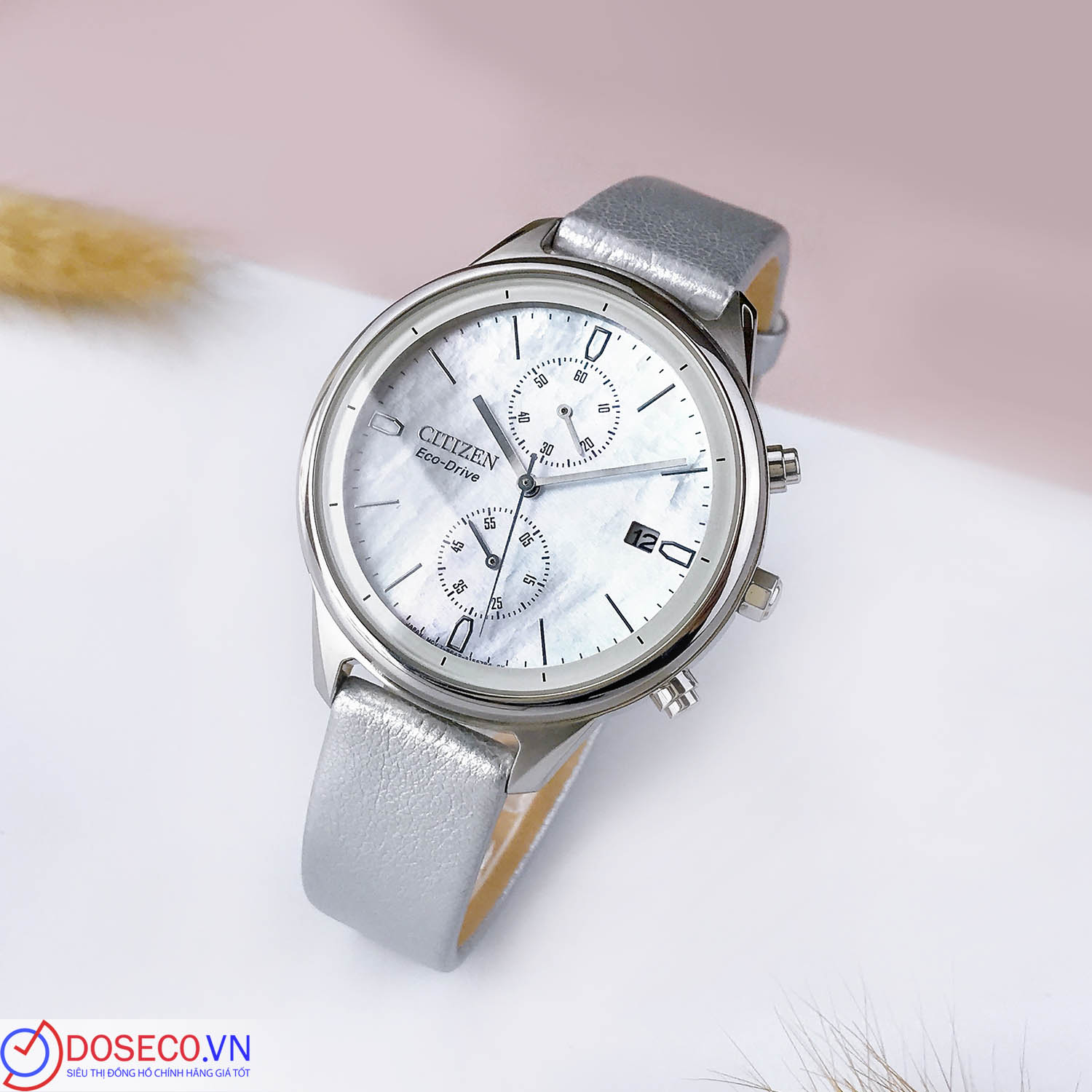 Citizen Eco-Drive FB2000-03D